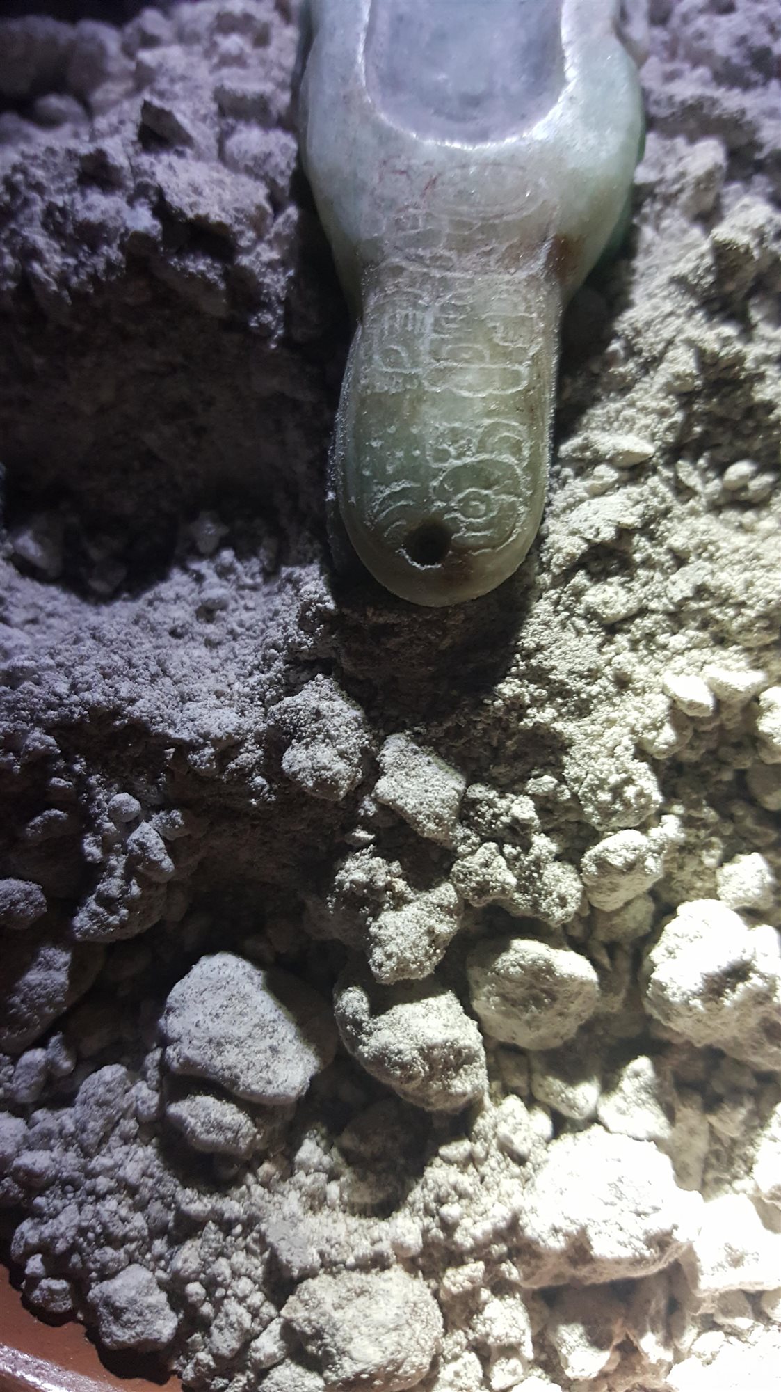 Excavan 2 tumbas mayas intactas en Holmul, al norte de Guatemala