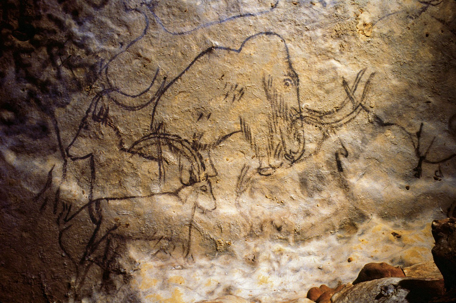El mamut, rey de los animales en la Edad de Hielo