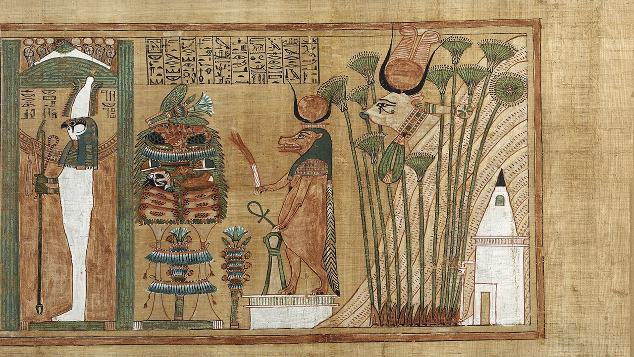 Reportajes y fotografías de Papiros en National Geographic Historia