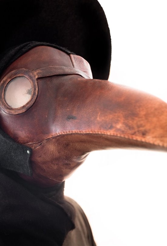 Reportajes y fotografías de Peste en National Geographic Historia