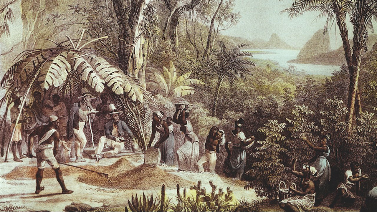 Historia National Geographic