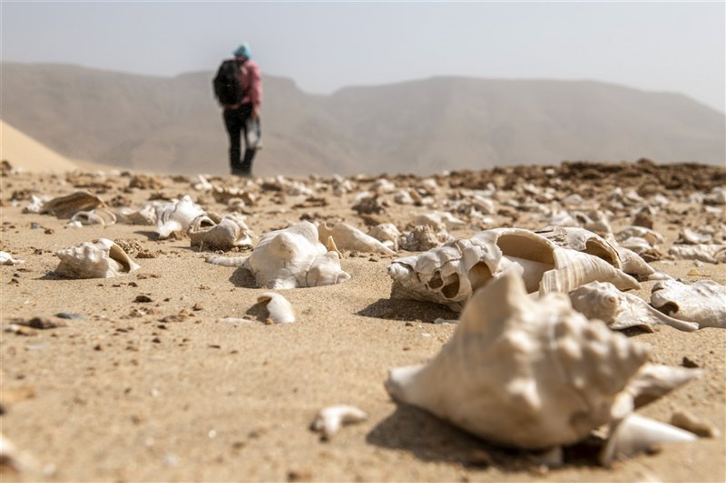 Somalilandia, un prometedor tesoro de la arqueología