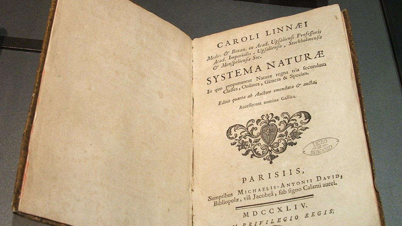 Historia National Geographic