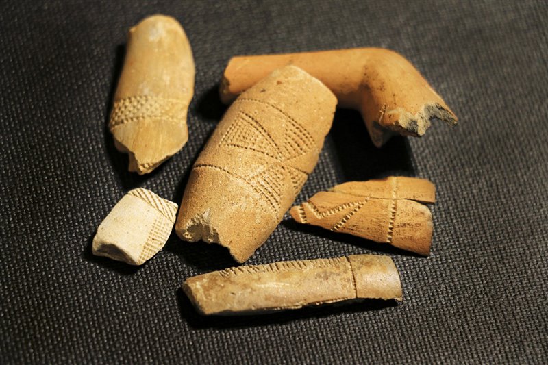 Los primeros esclavos de Virginia