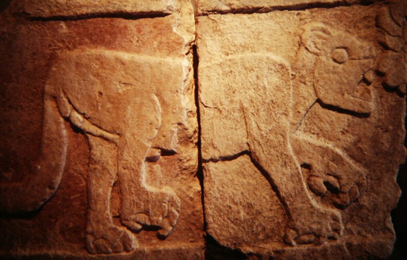 El jaguar, felino sagrado de Mesoamérica