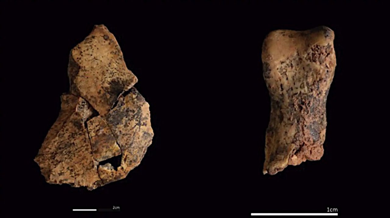 Descubren en Atapuerca los primeros restos de Homo antecessor en veinte ...