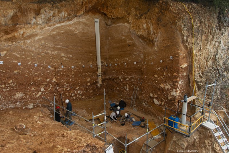 Descubren en Atapuerca los primeros restos de Homo antecessor en veinte ...