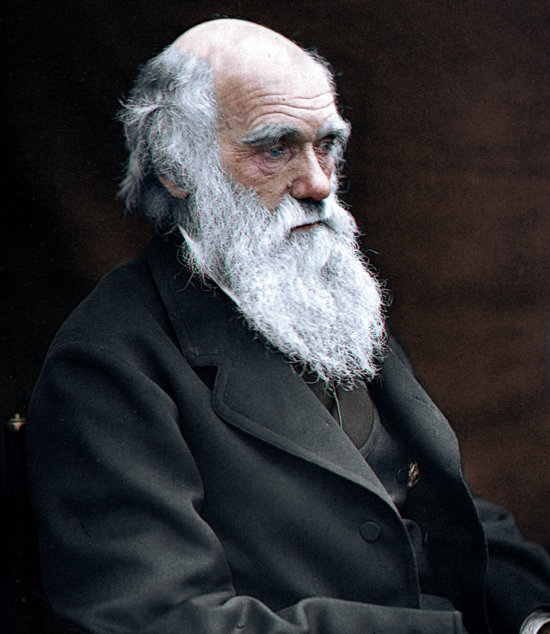 Darwin y el origen de las especies