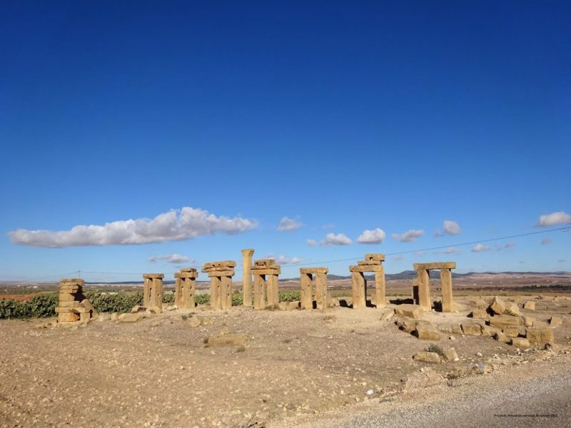 Las increíbles prensas de aceite descubiertas en las altas estepas de Túnez