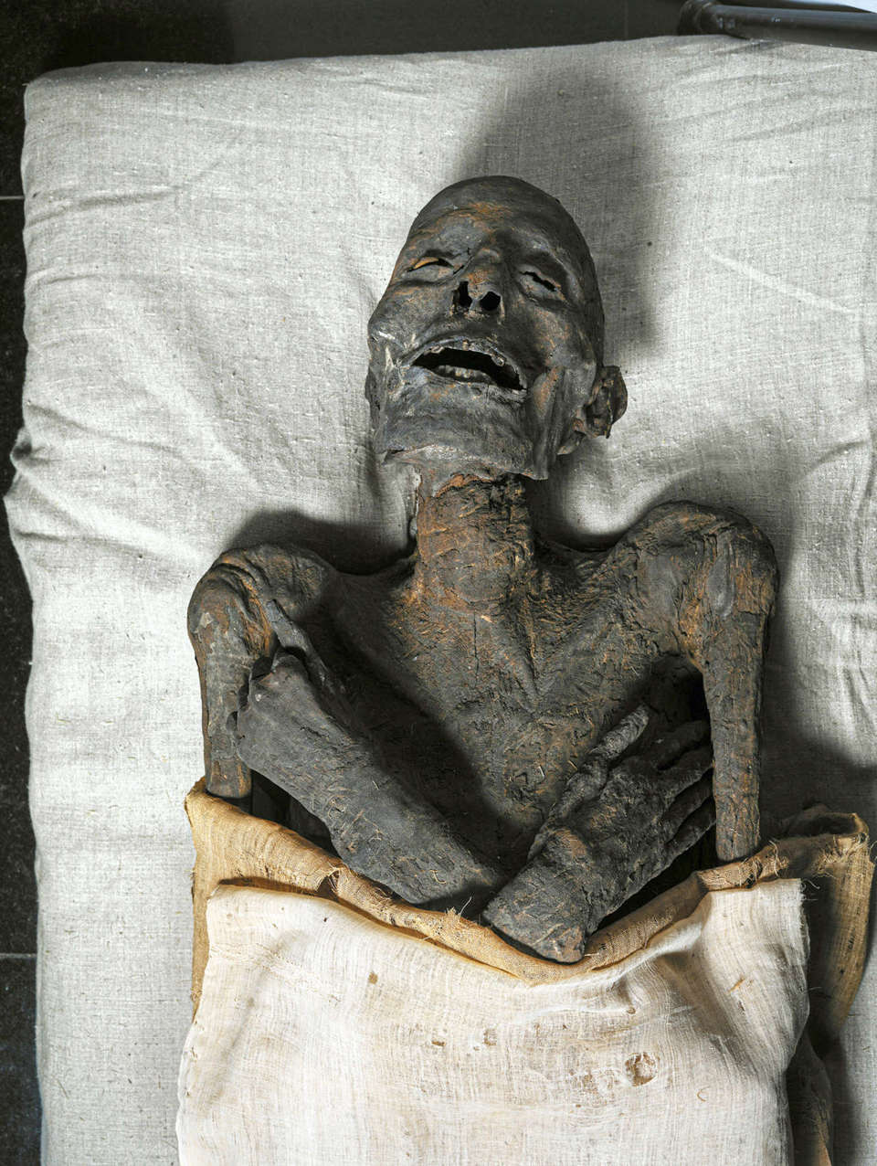 Los viajes de dos momias reales: Ramsés I y Ramsés II