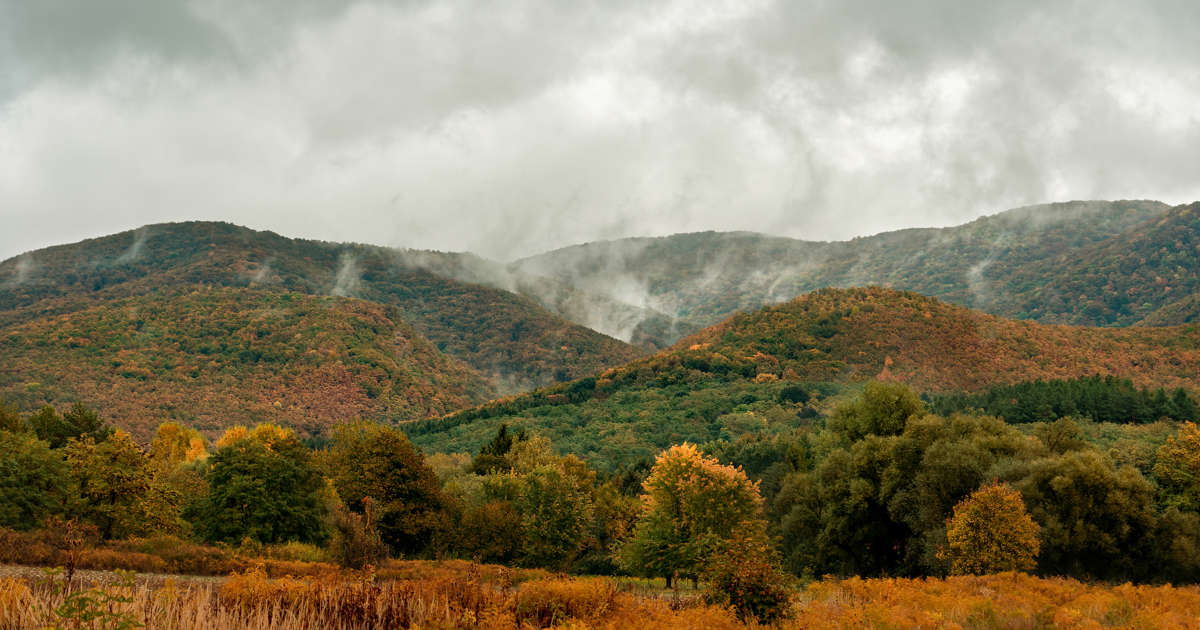 Quiénes eran los ávaros, el misterioso pueblo que creó un reino en ...