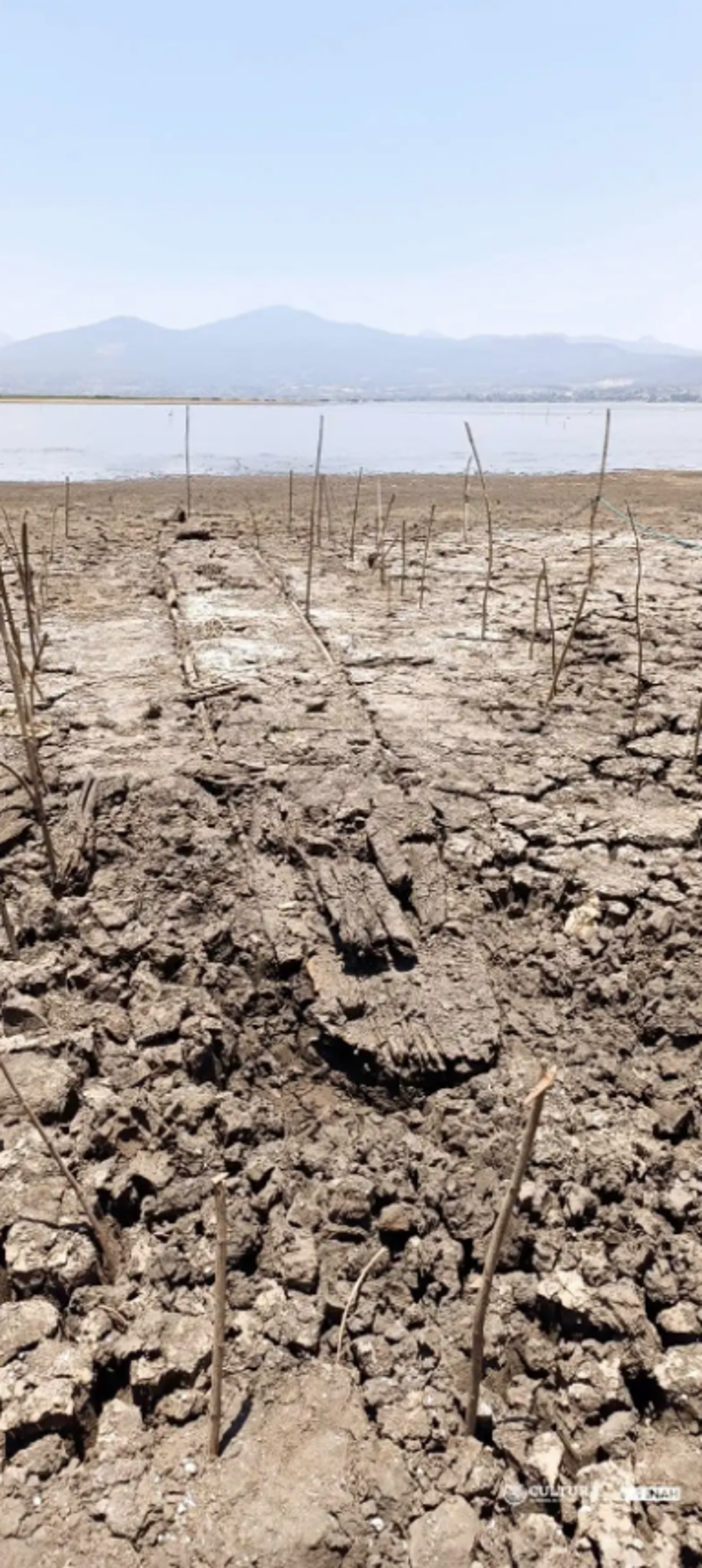 Descubren una tepari y fémures humanos tallados en la isla mexicana de ...