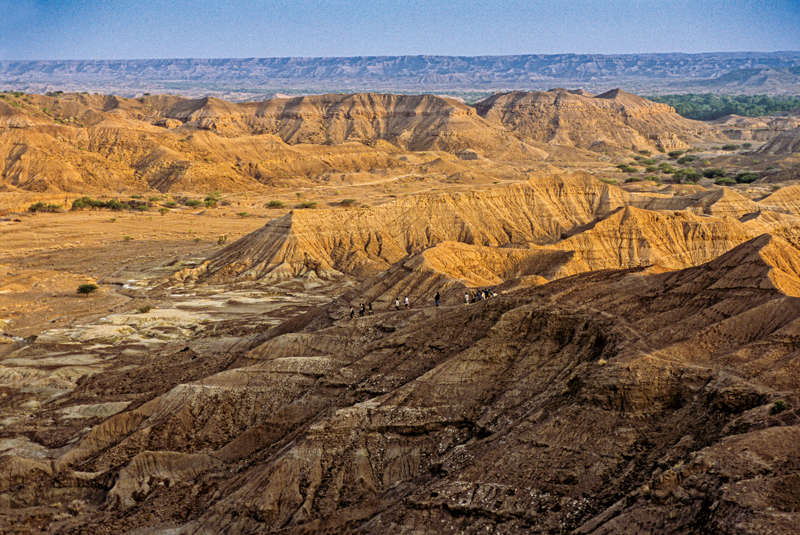 Lucy cumple 50 años y sigue siendo un icono de la evolución