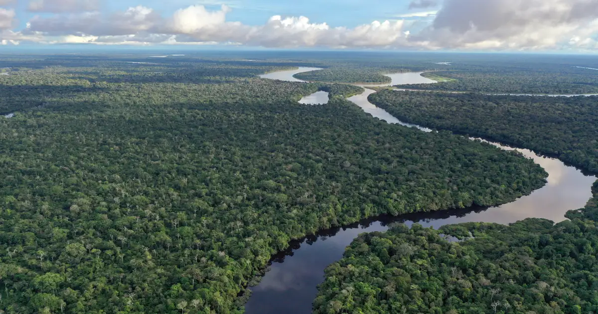 Encuentran en la Amazonia una ciudad perdida desde el siglo XVIII
