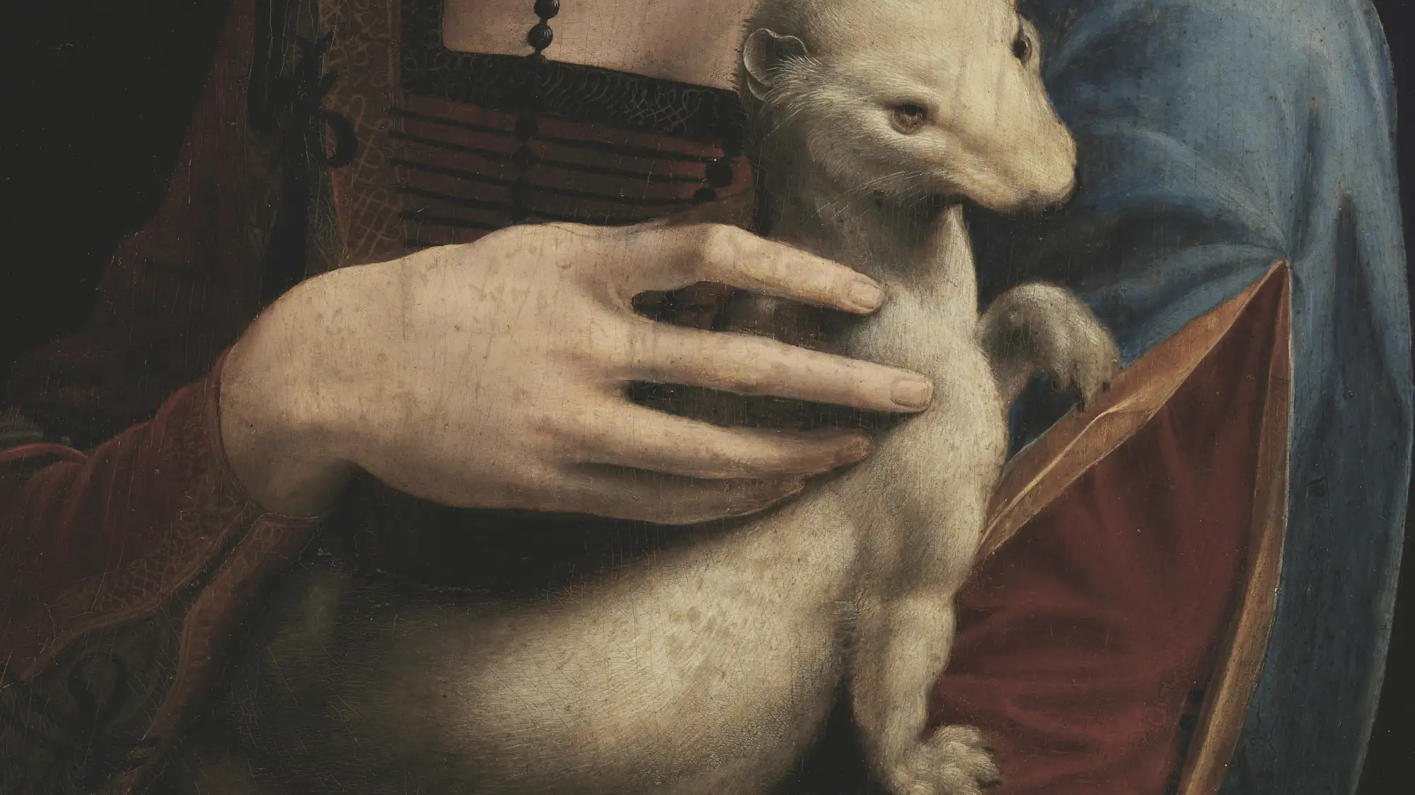 Dama Con Armiño La Primera Mona Lisa De Leonardo Da Vinci