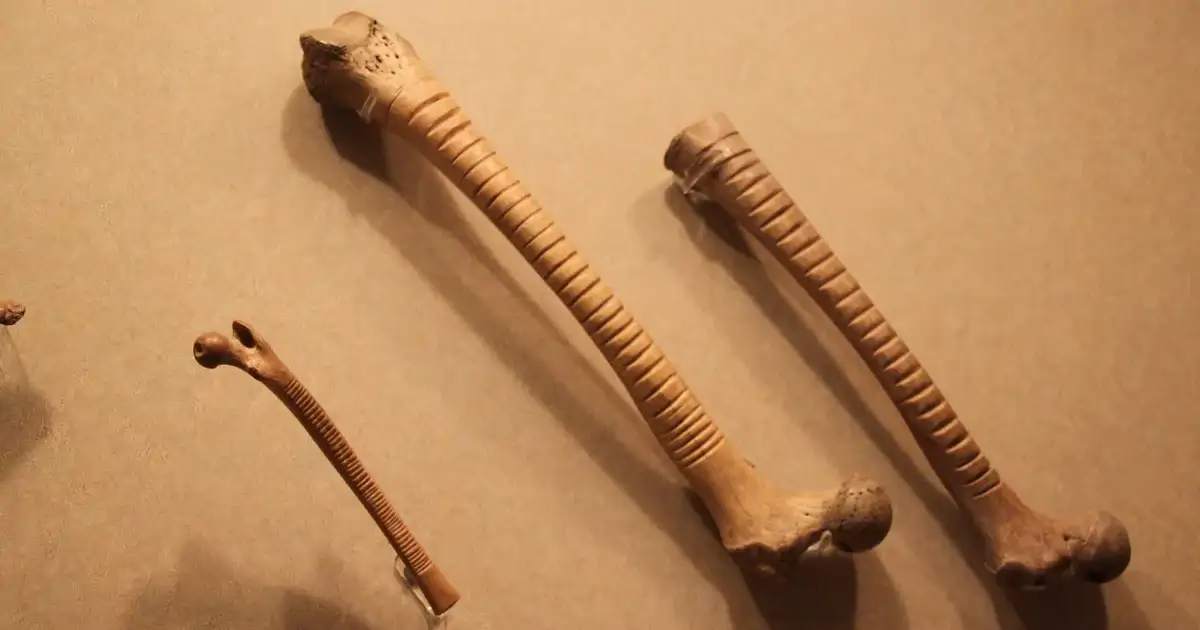 Hallan un instrumento musical de hace 700 años hecho con un hueso humano