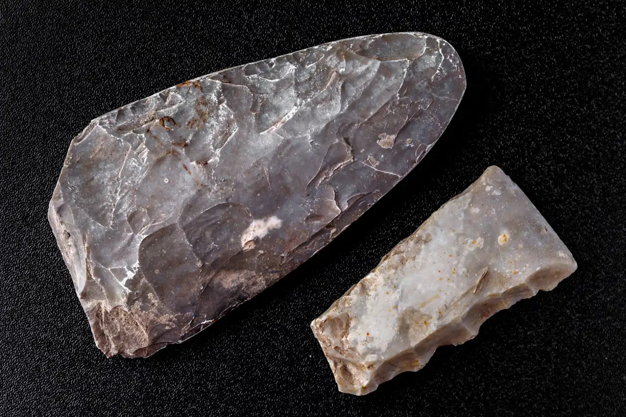 Un sorprendente hallazgo cambia lo que sabíamos sobre los neandertales