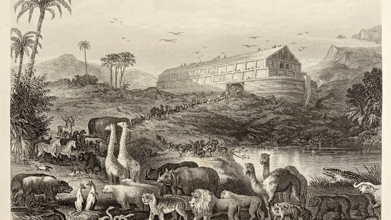 Historia National Geographic