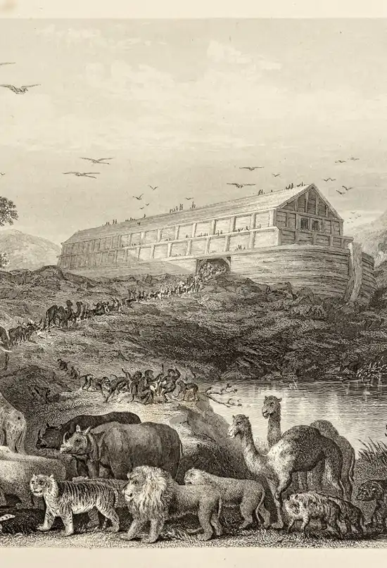 Reportajes y fotografías de Biblia en National Geographic Historia