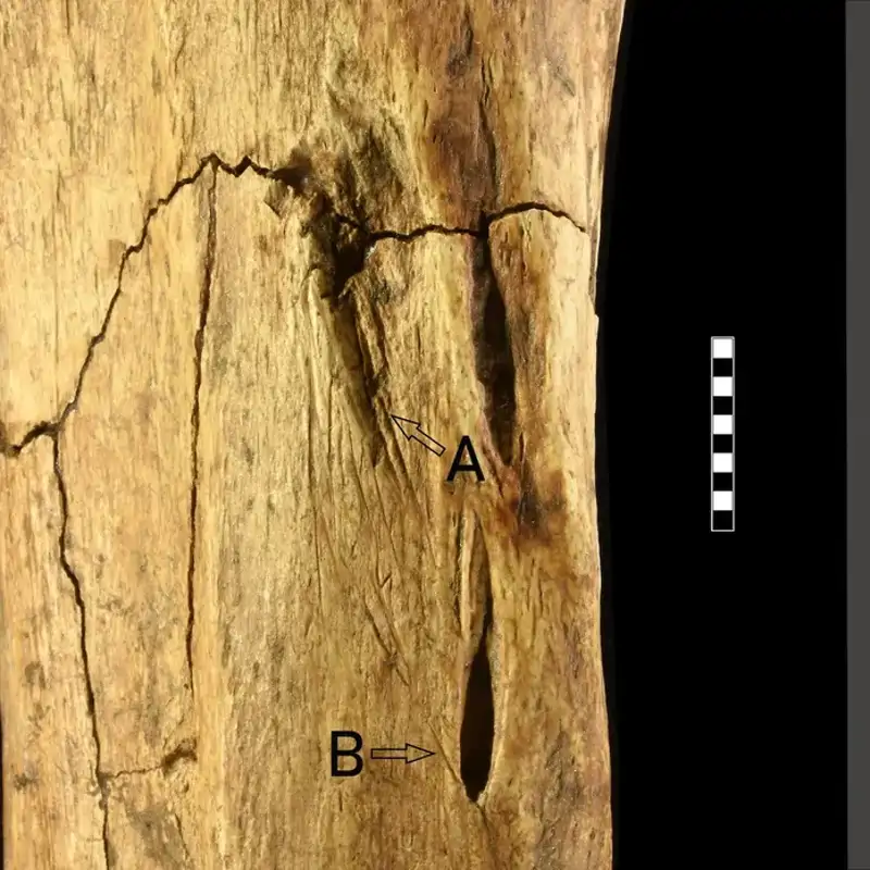 Sutton Hoo, el gran tesoro funerario de la Inglaterra medieval