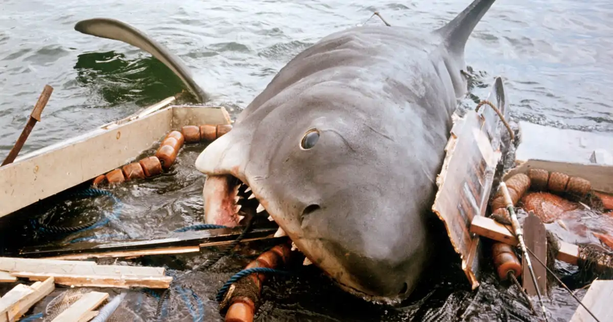 La película 'Tiburón' se inspiró en un hecho real: los ataques que ...