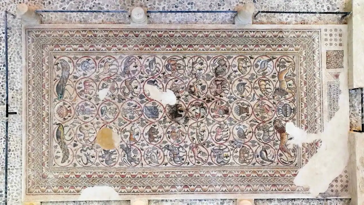 Mosaico De Peces Y Tortugas