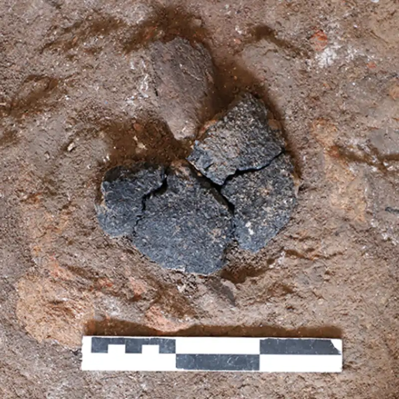 Se exhibe el cadáver de Santa Teresa por primera vez en 111 años: está ...