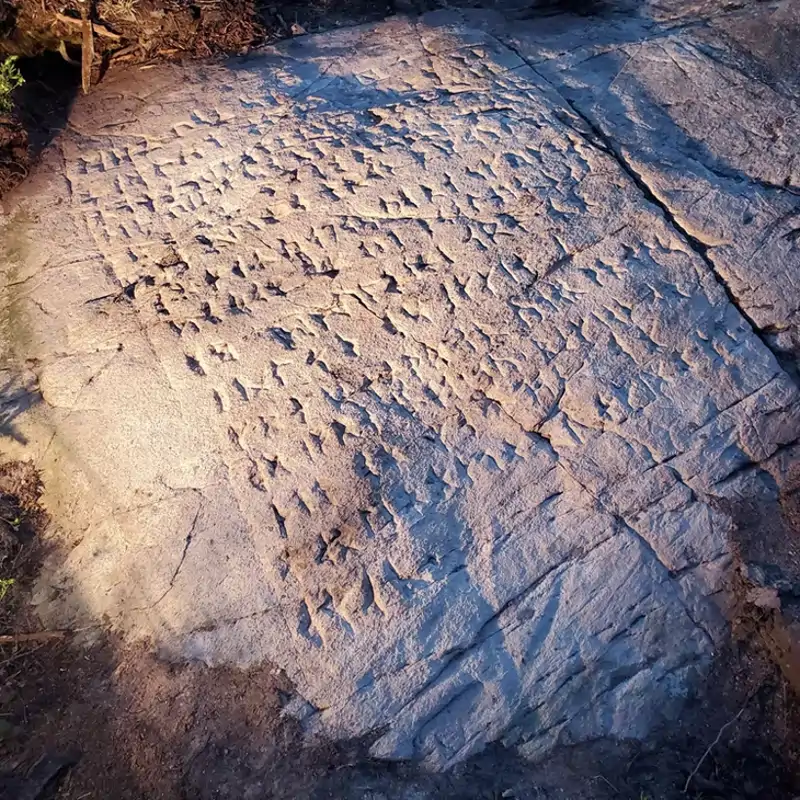 Pericles, el gran líder de la democracia en Atenas