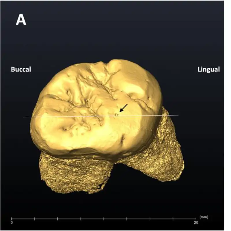 Frank Sinatra y 'New York, New York': la creación de un himno universal