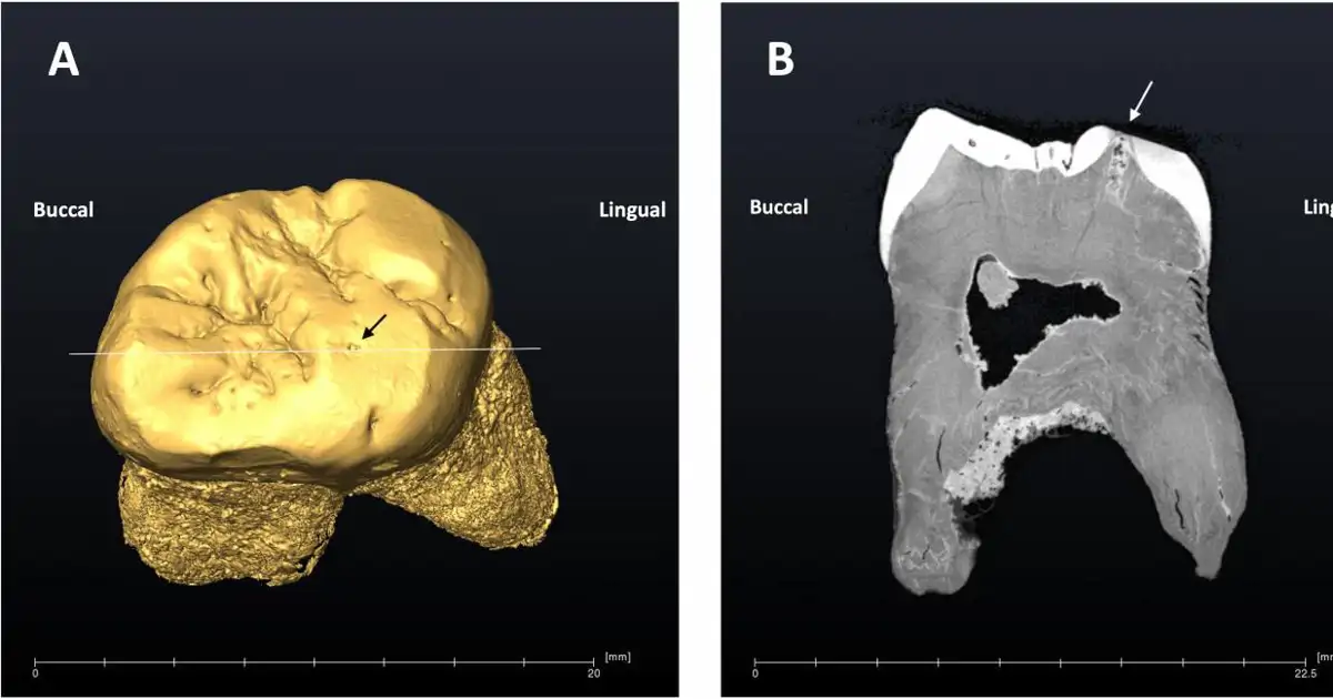 Selah luper discord after seeing Joy's website and