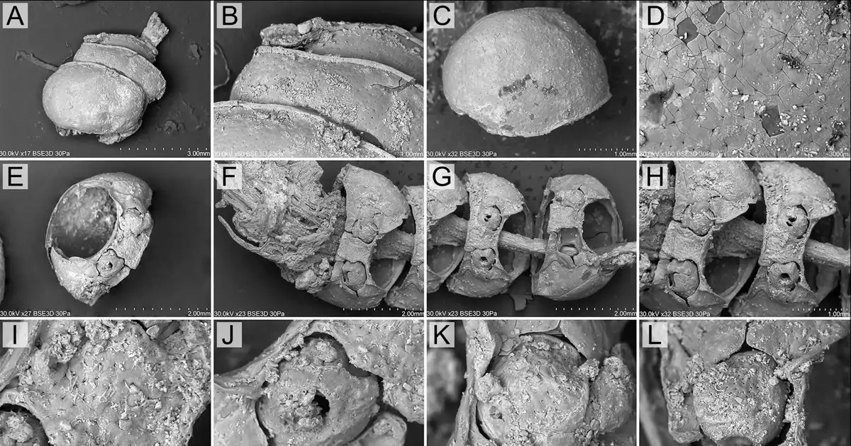 Fishnet sex gifs text when you are on the street corner and