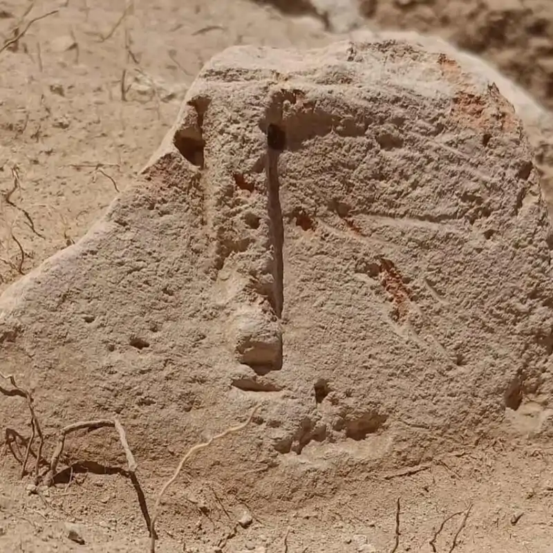 María "la tifoidea", la cocinera asintomática