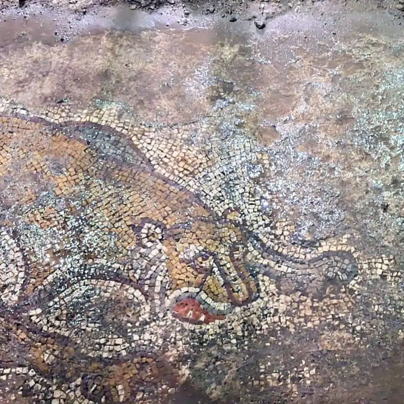 Eva Braun, la mujer a la sombra de Hitler