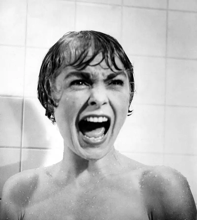 De 'Psicosis' a 'Scream': historia y características del cine slasher