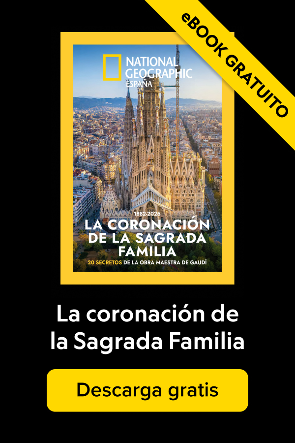Ni tesoros enterrados, ni mapas con equis: los piratas no fueron como ...
