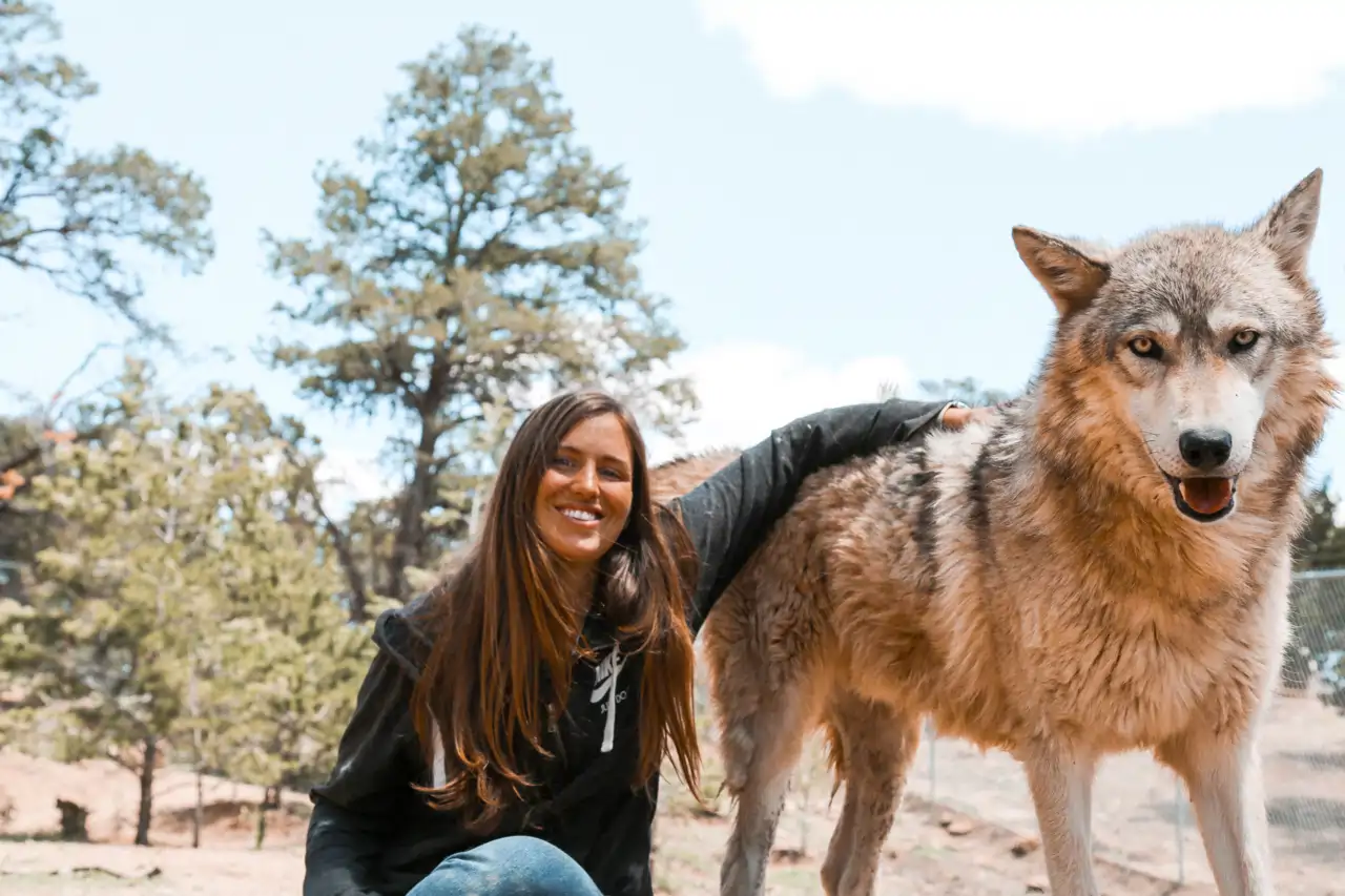 Lobos: aprendiendo del mundo salvaje